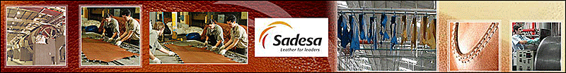 รับสมัครงาน Sadesa(Thailand)co., Ltd.