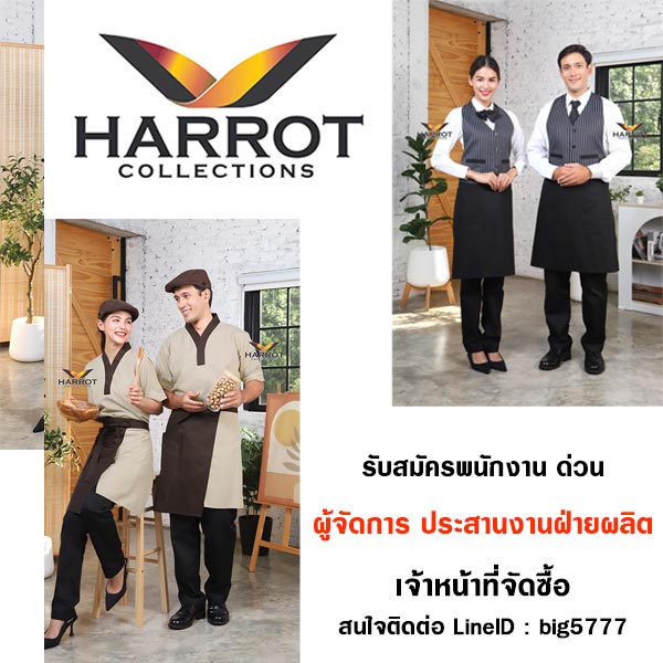 JobTH - หางาน สมัครงาน งาน ตำแหน่งงานว่าง อัปเดตทุกวัน Job thailand ...